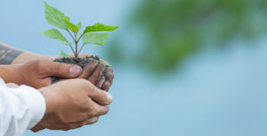 Environmental Science Personal Statement Writing Services